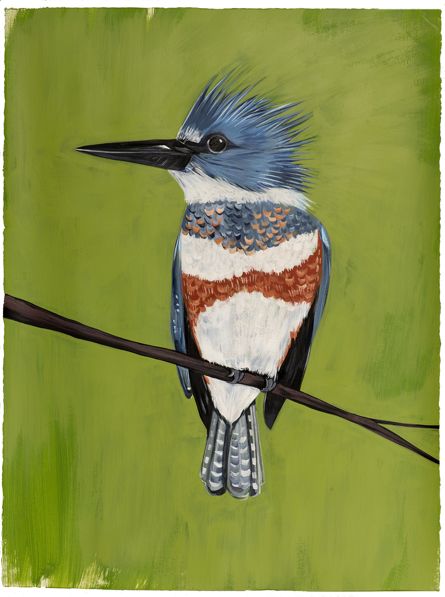 Caroline Hill | A.O. Cuneo / Sullivan Gallery