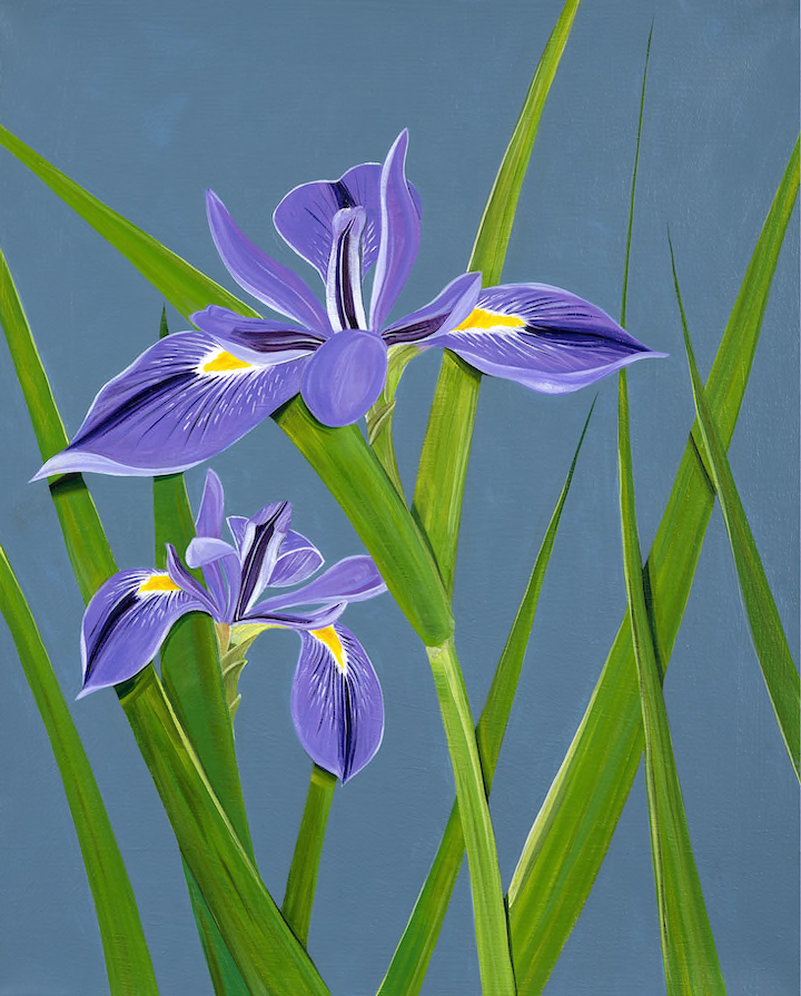 Caroline Hill | A.O. Cuneo / Sullivan Gallery